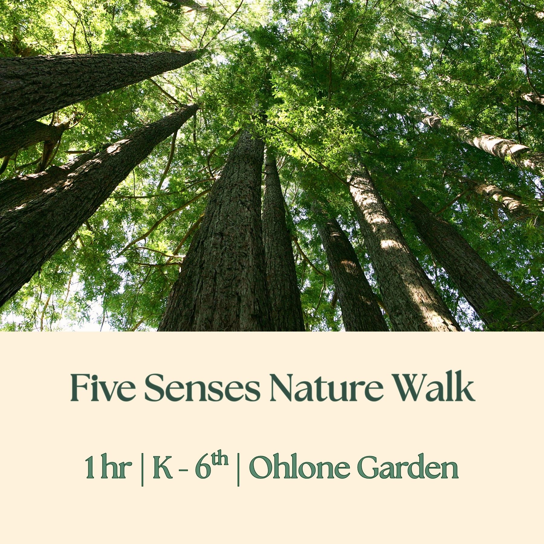 Facility Bookings | Youth Science Institute (Sanborn Park) Store